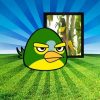Real-Life Angry Birds: 10 of the Most Endangered Birds in the ...
