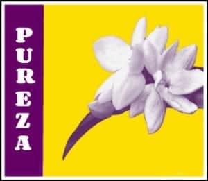 HistoRiles: The Fascinating Origins of Popular LRT 2 Stations - FilipiKnow