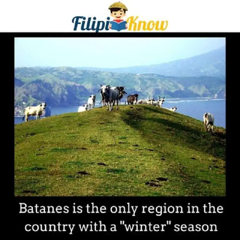 70 Amazing Trivia and Facts About the Philippines that Will Blow Your ...