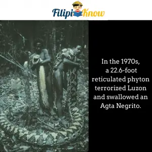 70 Amazing Trivia and Facts About the Philippines that Will Blow Your ...