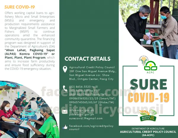 How To Get a Government Loan for Small Businesses in the Philippines ...