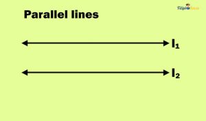 Basic Geometry Concepts: Undefined Terms, Definitions, Postulates, and ...