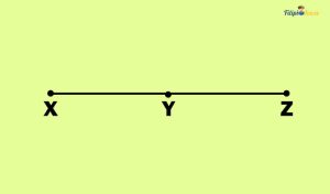 Basic Geometry Concepts: Undefined Terms, Definitions, Postulates, and ...