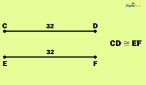 Basic Geometry Concepts: Undefined Terms, Definitions, Postulates, and ...