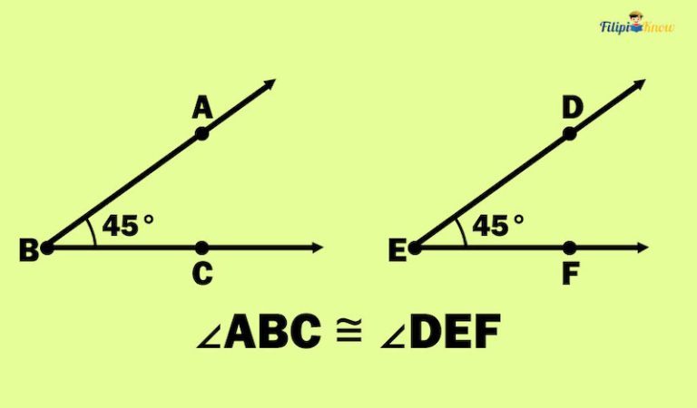 Basic Geometry Concepts: Undefined Terms, Definitions, Postulates, and ...