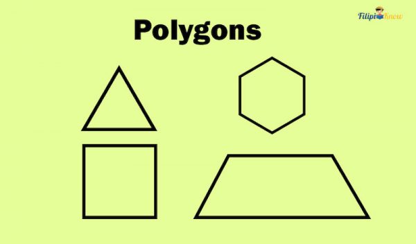 Basic Geometry Concepts: Undefined Terms, Definitions, Postulates, and ...