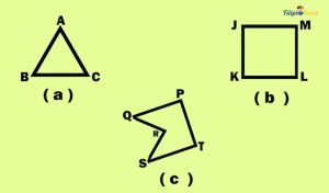 Basic Geometry Concepts: Undefined Terms, Definitions, Postulates, and ...