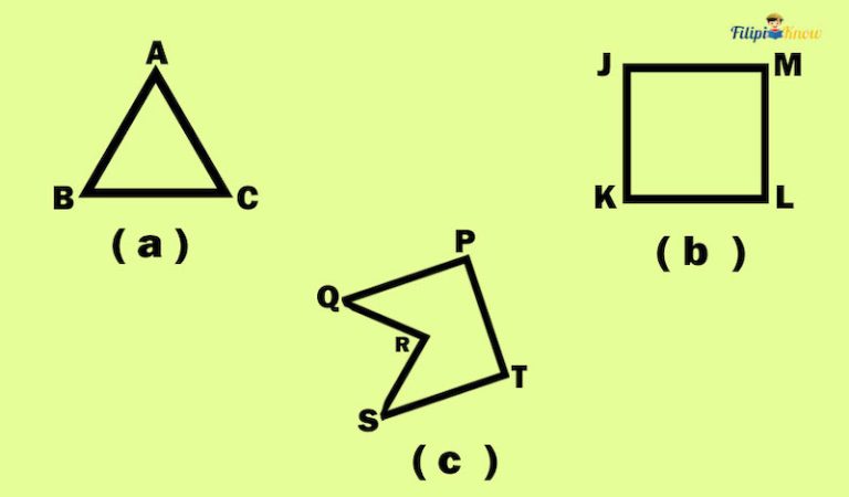 Basic Geometry Concepts: Undefined Terms, Definitions, Postulates, and ...