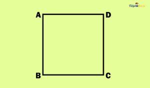 Basic Geometry Concepts: Undefined Terms, Definitions, Postulates, and ...