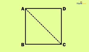 Basic Geometry Concepts: Undefined Terms, Definitions, Postulates, and ...