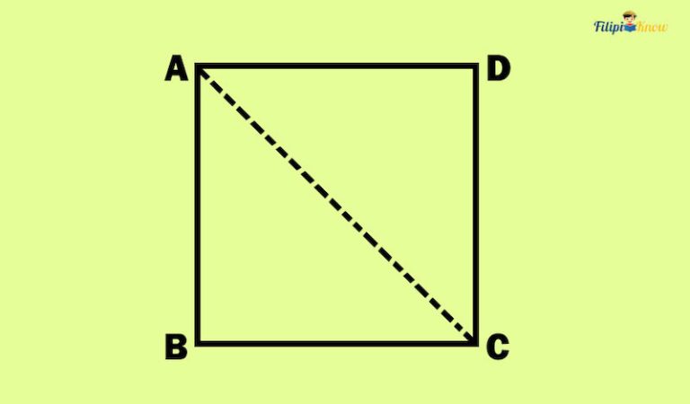 Basic Geometry Concepts: Undefined Terms, Definitions, Postulates, and ...