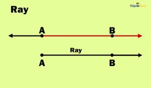 Basic Geometry Concepts: Undefined Terms, Definitions, Postulates, and ...