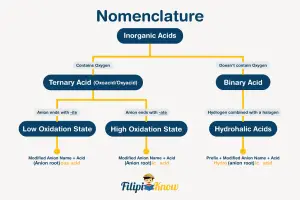 Compounds - FilipiKnow