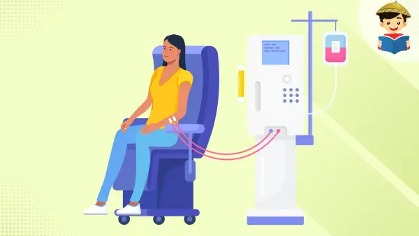 How To Avail of PCSO Medical Assistance: An Ultimate Guide - FilipiKnow