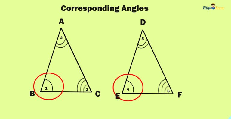 Classification of Triangles (Plus, Theorems and Postulates) - FilipiKnow