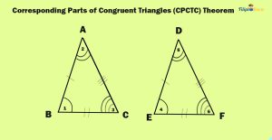 Classification of Triangles (Plus, Theorems and Postulates) - FilipiKnow