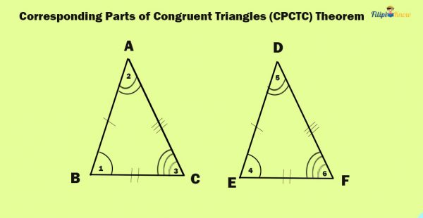 Classification of Triangles (Plus, Theorems and Postulates) - FilipiKnow