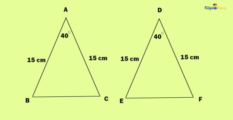 Classification of Triangles (Plus, Theorems and Postulates) - FilipiKnow
