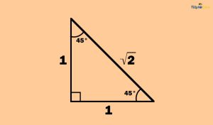Trigonometric Functions Examples With Solution - FilipiKnow