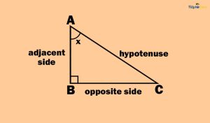 Trigonometric Functions Examples With Solution - FilipiKnow