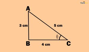 Trigonometric Functions Examples With Solution - FilipiKnow