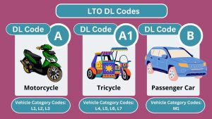 LTO Restriction Codes 2023: A Definitive Guide - FilipiKnow
